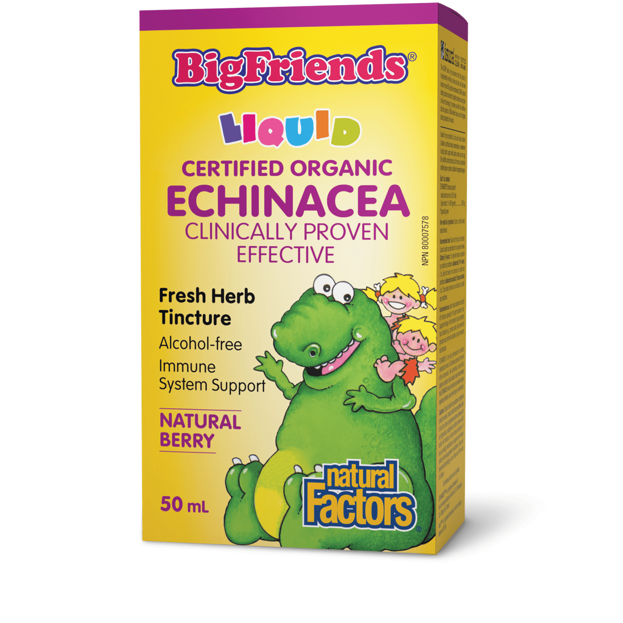 Natural Factors Echinacea Alcohol-Free Fresh Herb Tincture for Kids, 5 ...